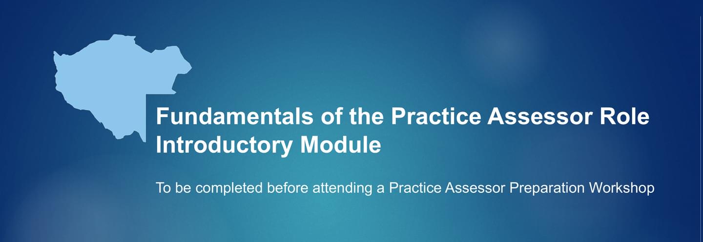 Online Learning Preparation for PA Role